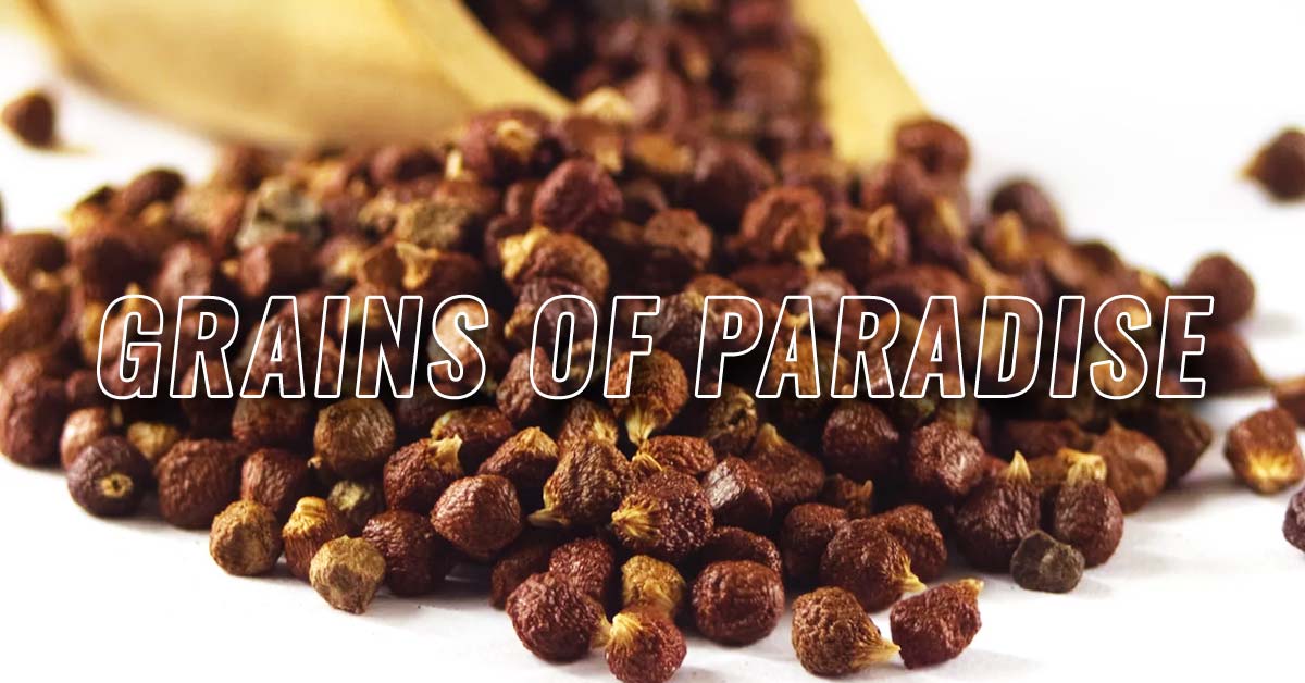 Grains of Paradise: Ingredient Breakdown – Blackstone Labs