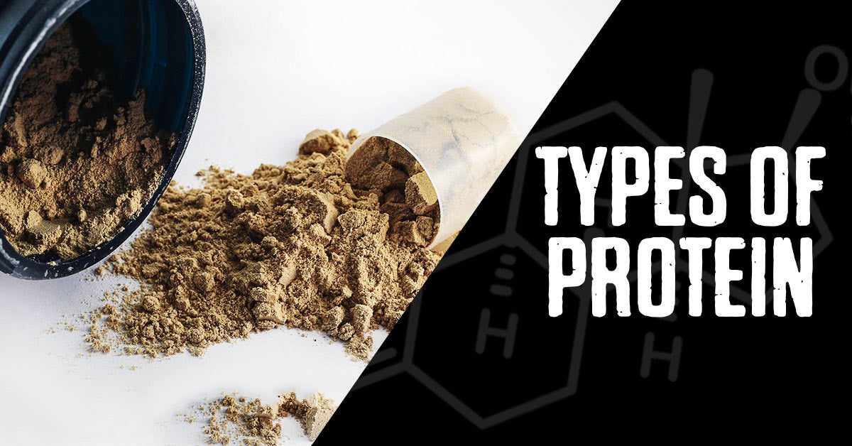 Which Protein Is Right For Me? – Blackstone Labs